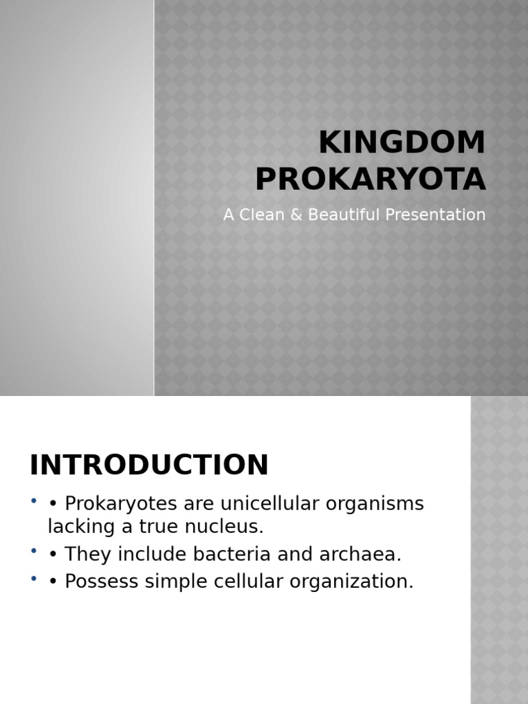 Prokaryotes: Characteristics and Importance | PDF