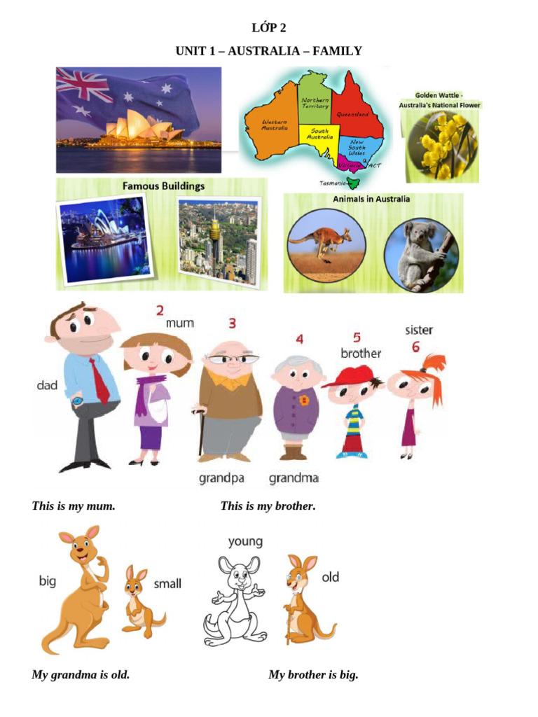 Review Grade 1+2 | PDF