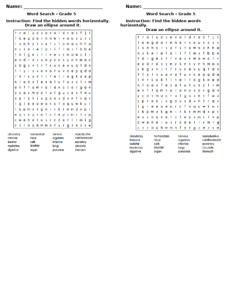Word Search Grade 5 | PDF