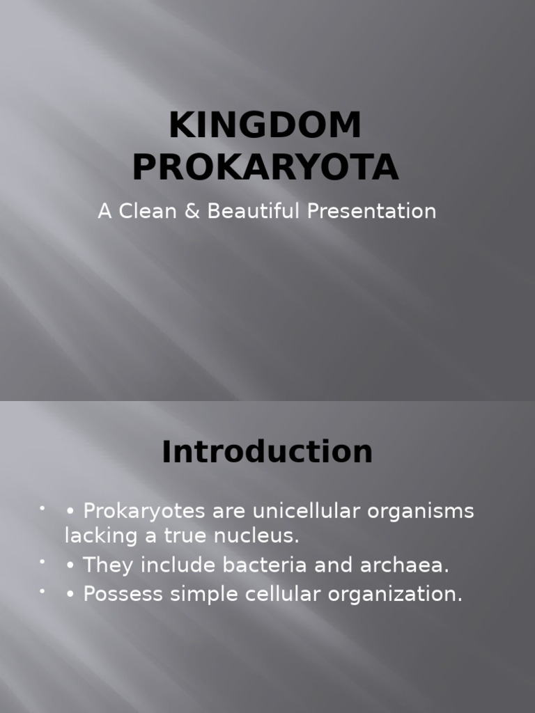 Kingdom Prokaryota Presentation | PDF