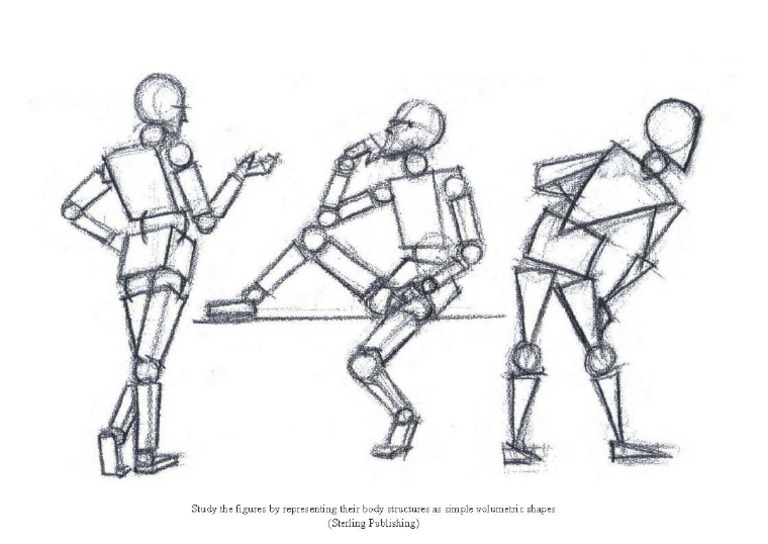 Ex 2 Representing Human Body Structures as Simple Volumetric Shapes (1 ...