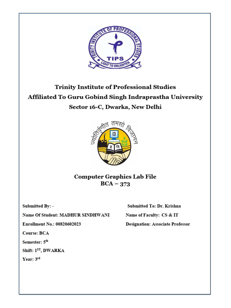 Computer Graphics Lab File | PDF | 2 D Computer Graphics | Graphics