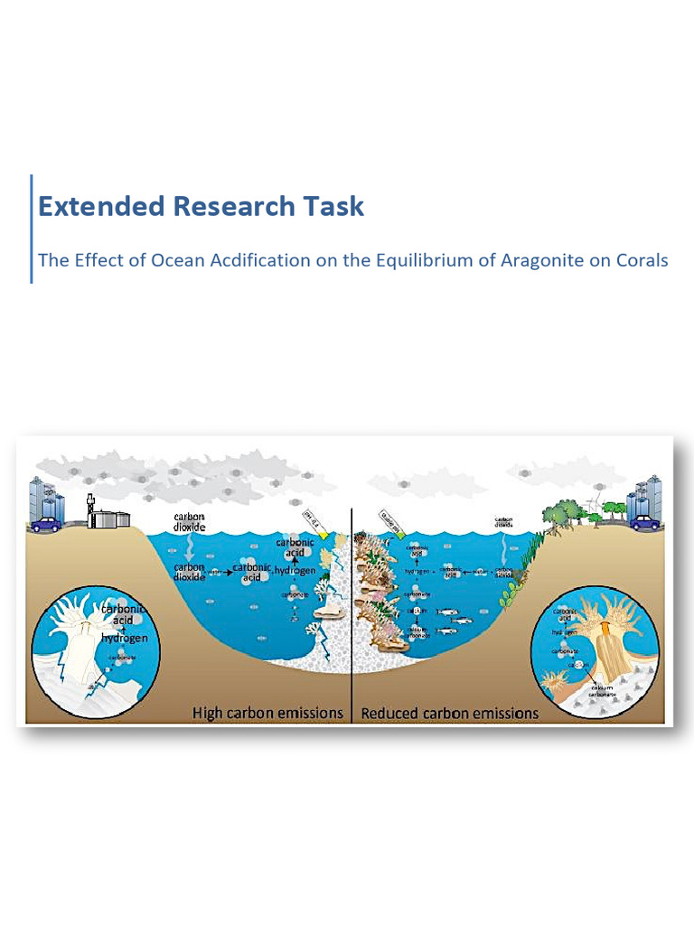 Ocean Acidification's Impact on Coral Reefs | PDF | Ocean Acidification ...