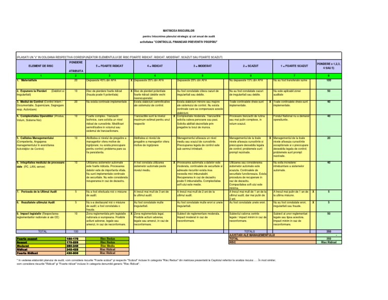 Matrice Riscuri | PDF