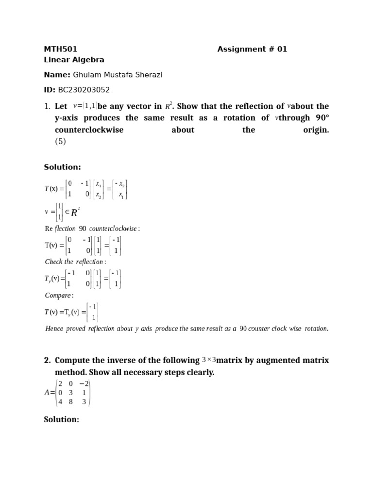 Linear Algebra Assignment Solutions | PDF