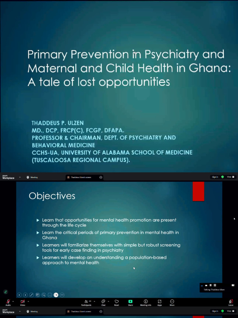 Primary Prevention in Psychiatry (Prof. Thaddeus Ulzen) | PDF