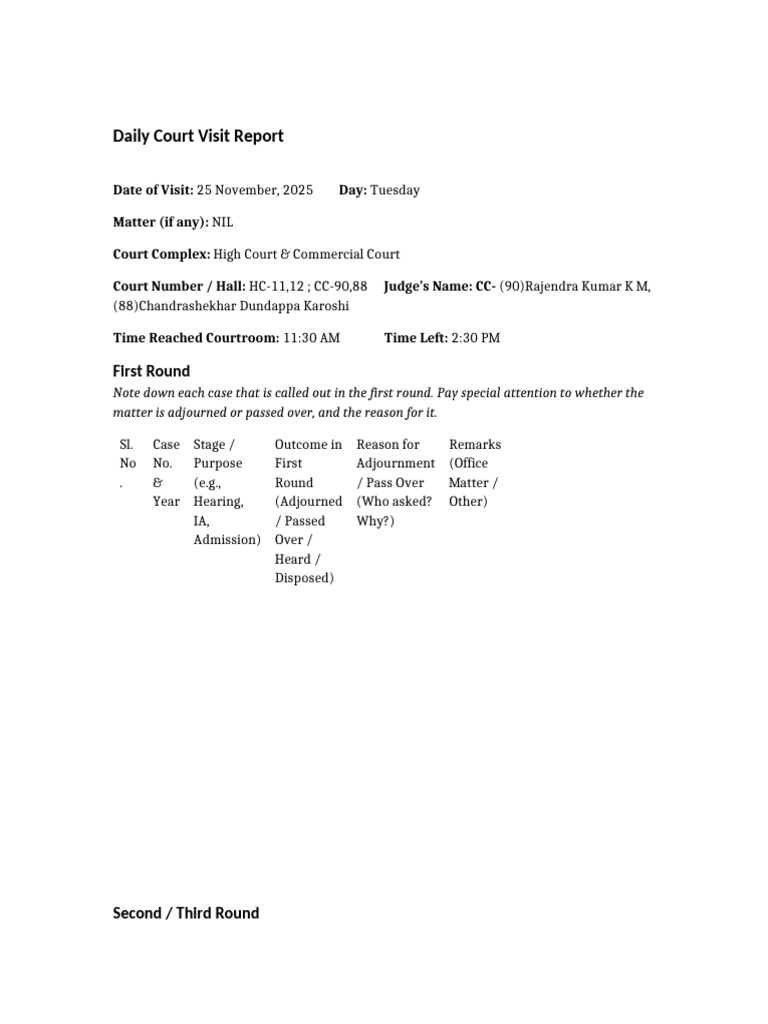 Daily Court Visit Report - Nov 25, 2025 | PDF