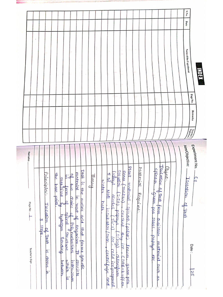 Biology 12 Practical | PDF