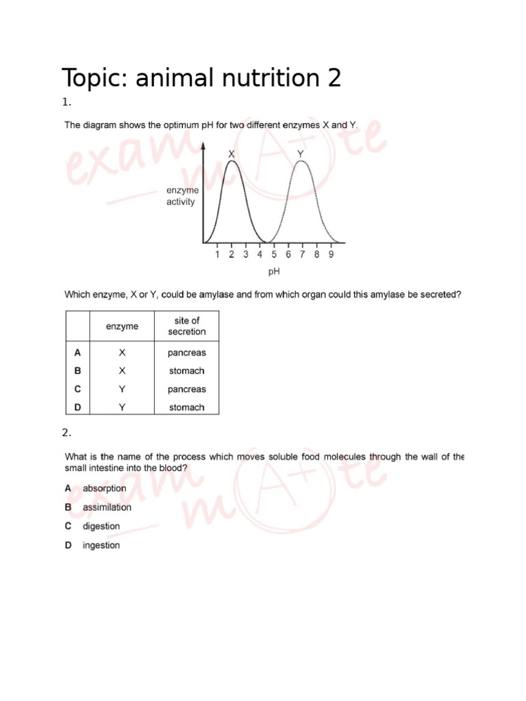 Animal Nutrition IGCSE Biology Worksheet | PDF