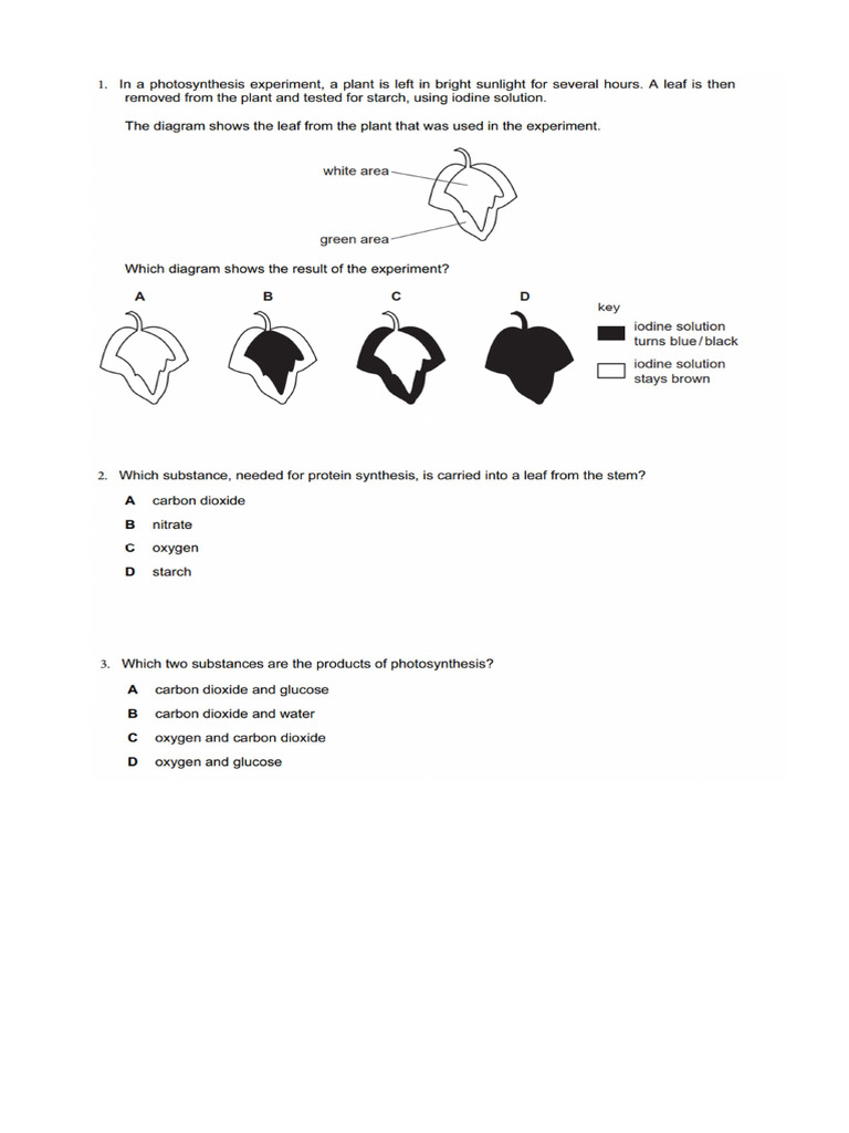 IGCSE Plants and nutrition worksheet B6 | PDF | Photosynthesis | Plants