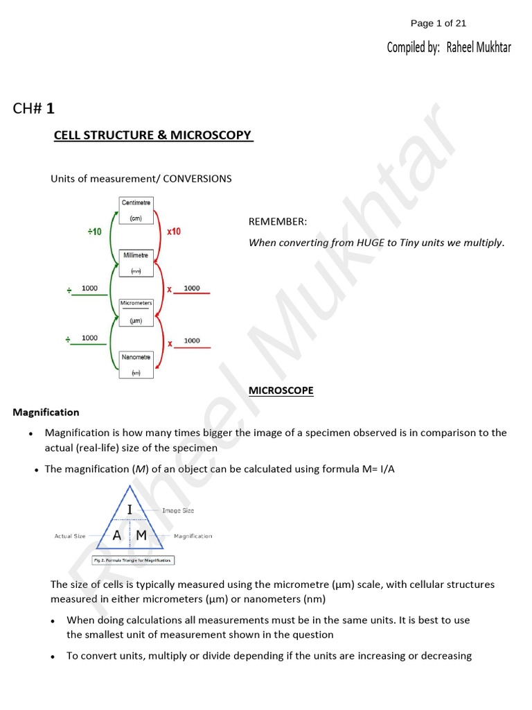 Cell Structure and Microscopy Basics | PDF | Endoplasmic Reticulum ...