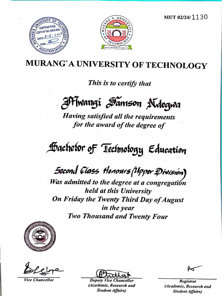 Undergrad Certificate (1) | PDF