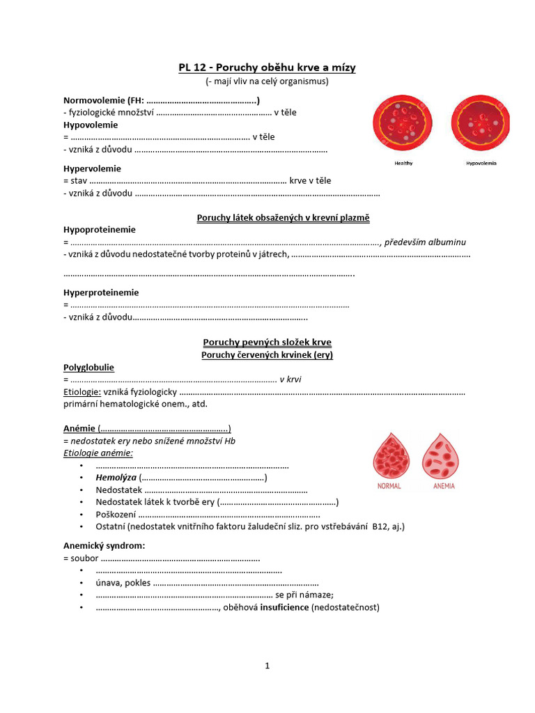 PL 12 | PDF