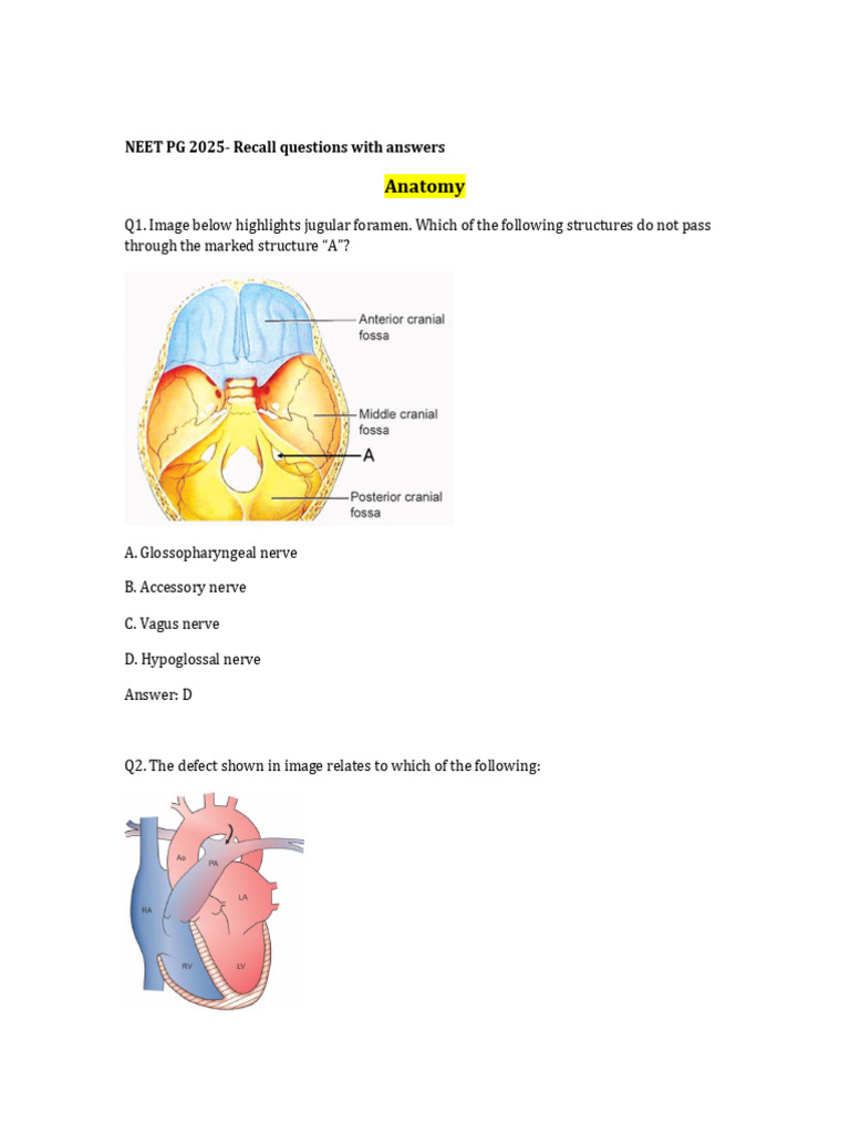NEET PG 2025 Recall Questions & Answers | PDF | Childbirth | Anemia