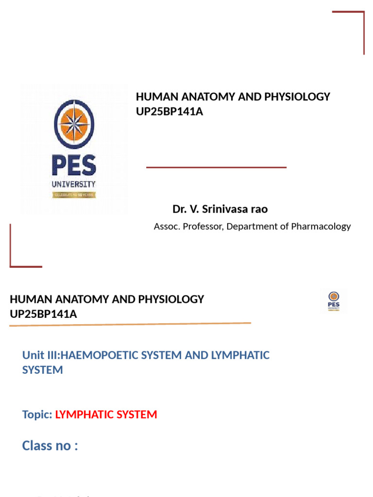 Lymphatic Syste Modified | PDF | Lymph Node | Lymphatic System