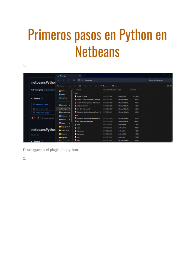 Primeros Pasos en Python en Netbeans | PDF