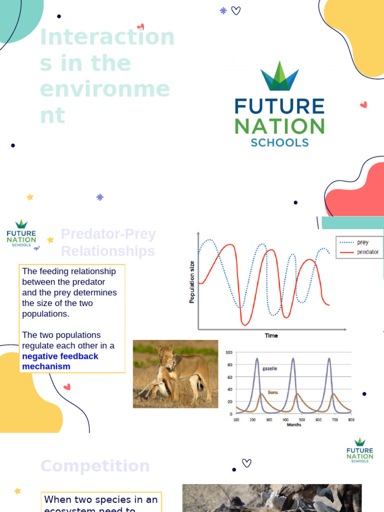 Predator-Prey Dynamics and Competition | PDF | Ecological Niche | Symbiosis
