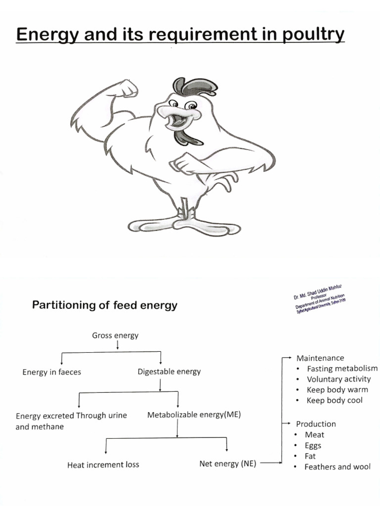 PNT Energy Requirement | PDF