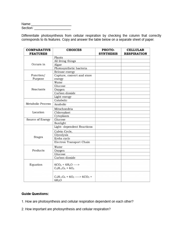 Photosynthesis vs. Cellular Respiration Guide | PDF