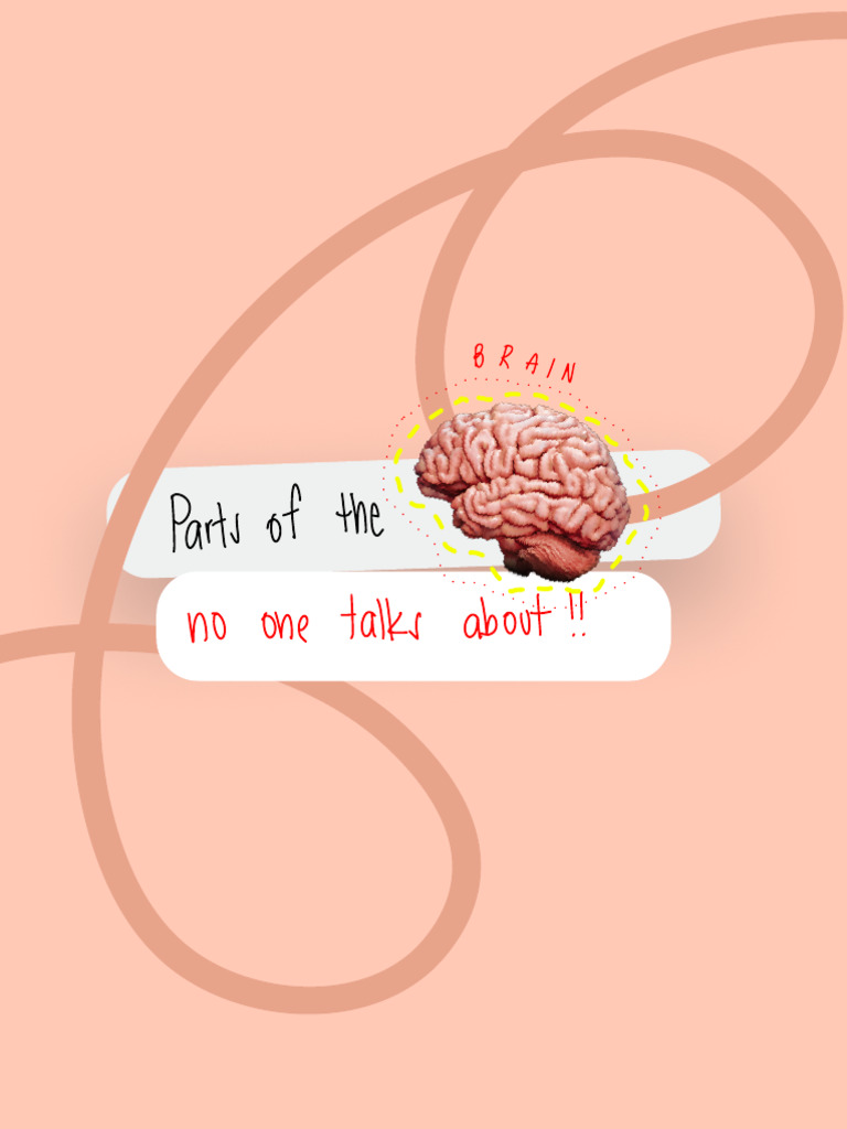 Part of The Brain: People Don't Talk About | PDF