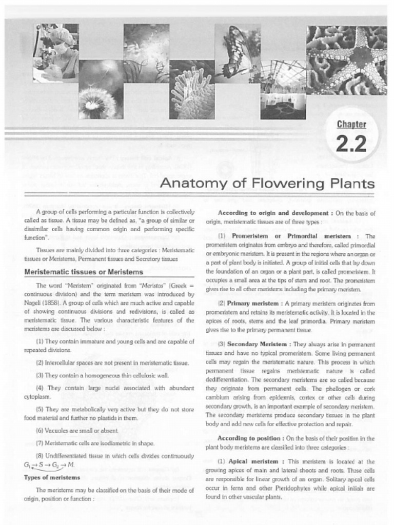 ?anatomy of Flowering Plants ?.. | PDF