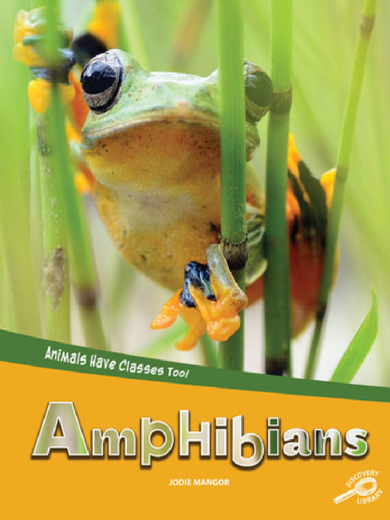 Animals Have Classes Too! Amphibians | PDF