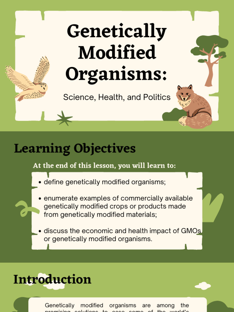 Genetically Modified Organisms | PDF | Genetically Modified Organism ...