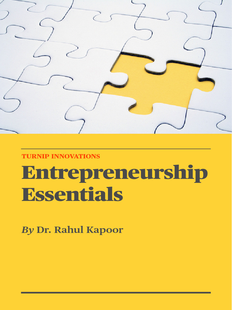 Entrepreneurship Essentials Guide | PDF | Entrepreneurship | Startup ...