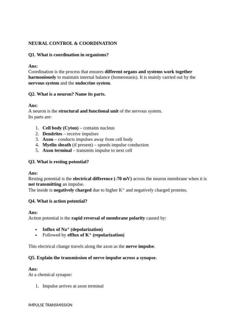 Neural Control & Co Ordination | PDF | Action Potential | Chemical Synapse