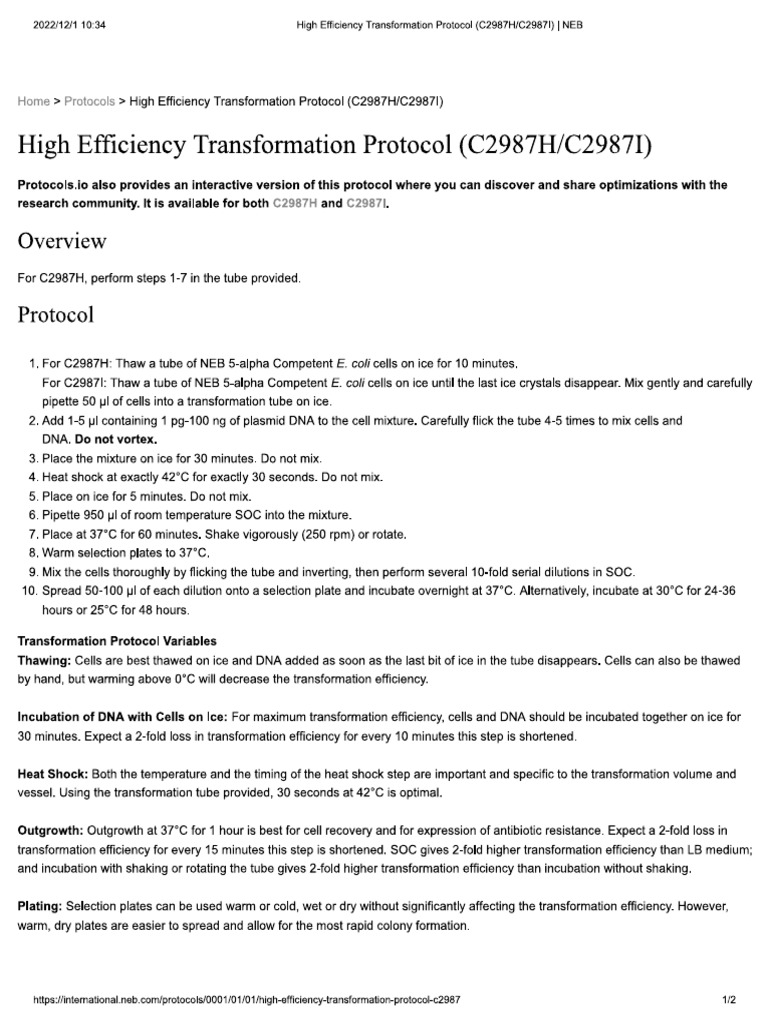 Transformation Protocol | PDF