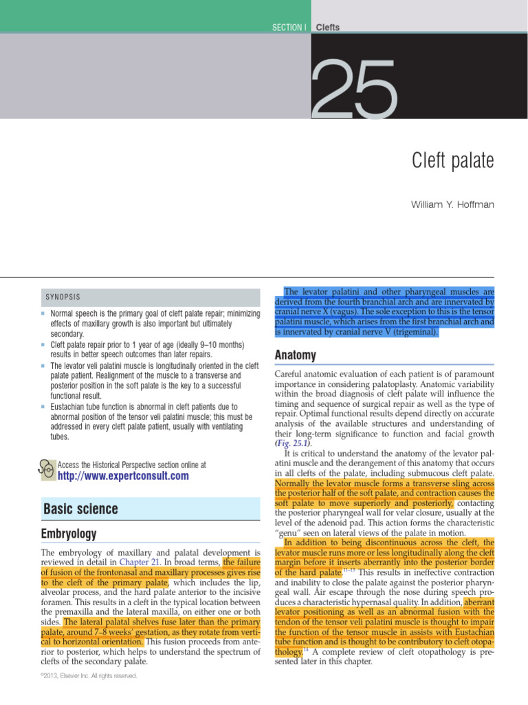 Cleft Palate Repair Techniques and Outcomes | PDF | Human Head And Neck