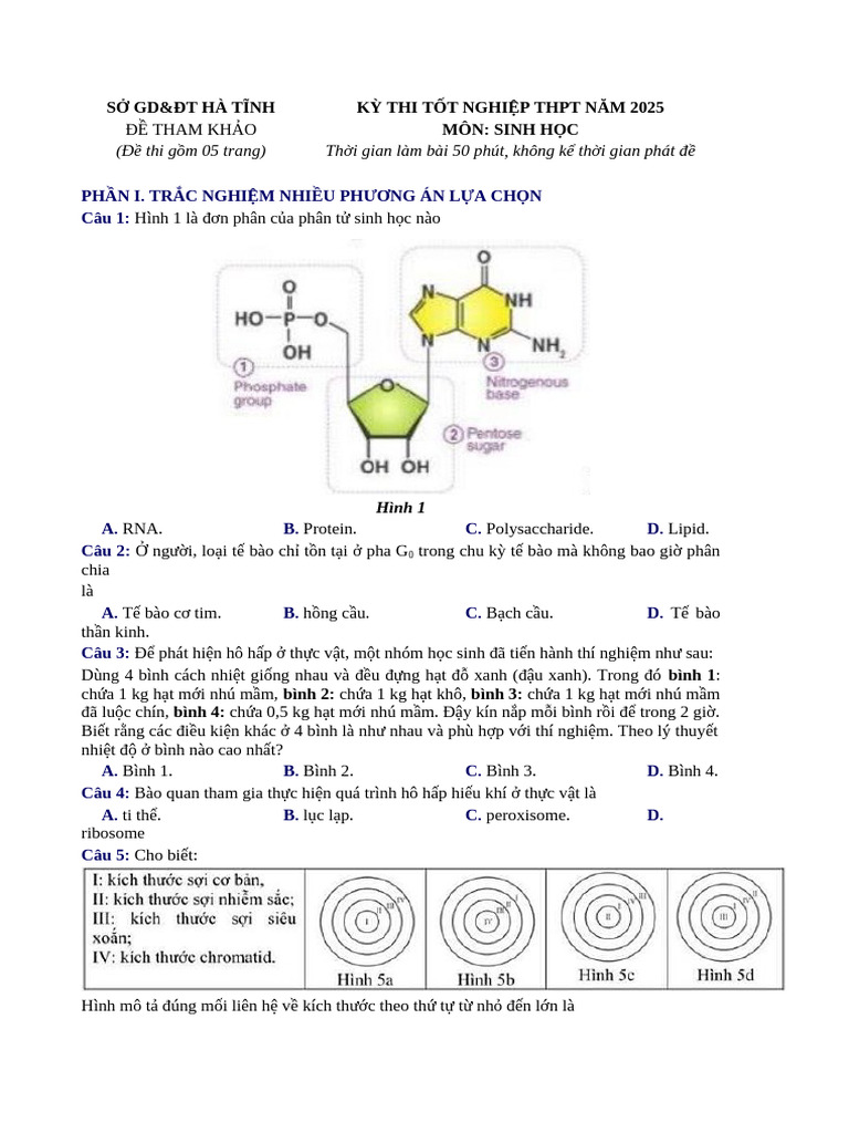 S GD Hà Tĩnh | PDF