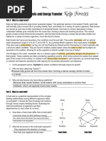 Kelp Forest Food Web Overview | PDF