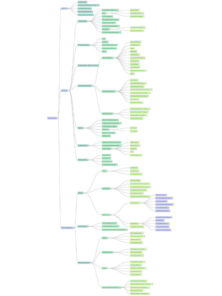 NotebookLM Mind Map | PDF