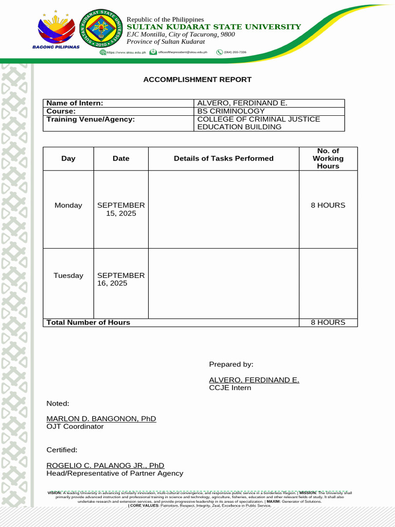 Daily Accomplisment Report (Example) | PDF
