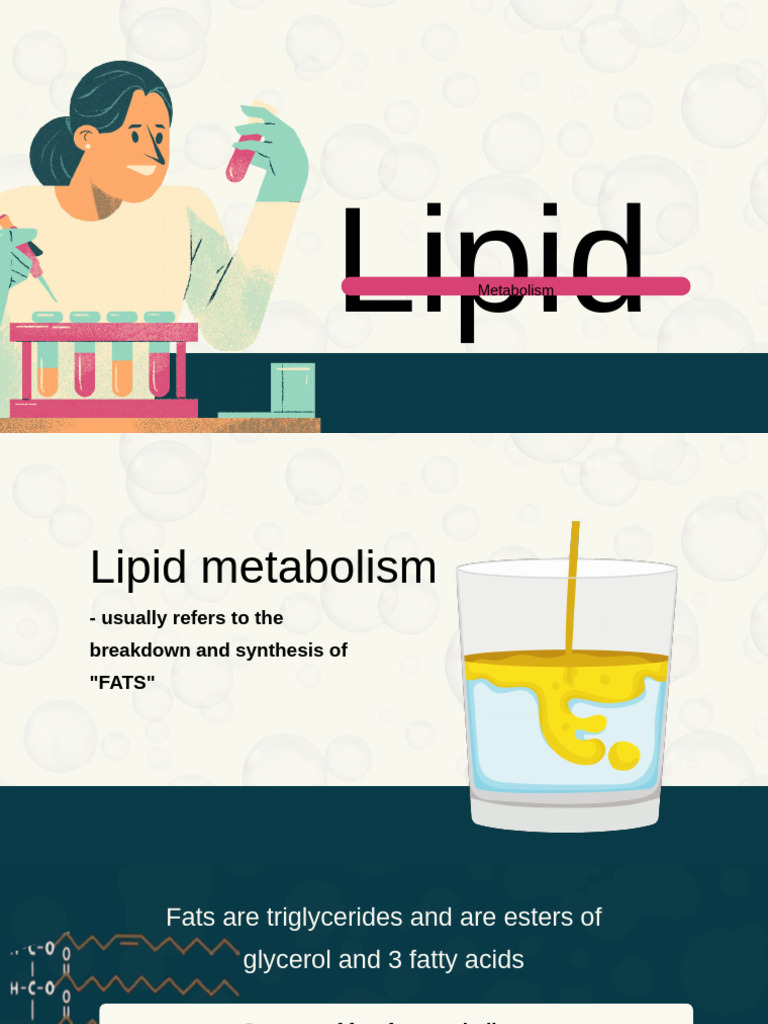 Lipids Biochemistry Presentation In White Green Illustrated Style ...