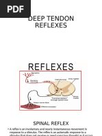 Eliciting Deep Tendon Reflexes Guide | PDF | Knee | Anatomical Terms Of ...