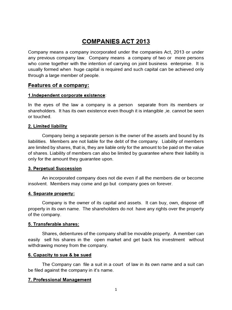 Overview of Companies Act 2013 | PDF | Proxy Voting | Share (Finance)
