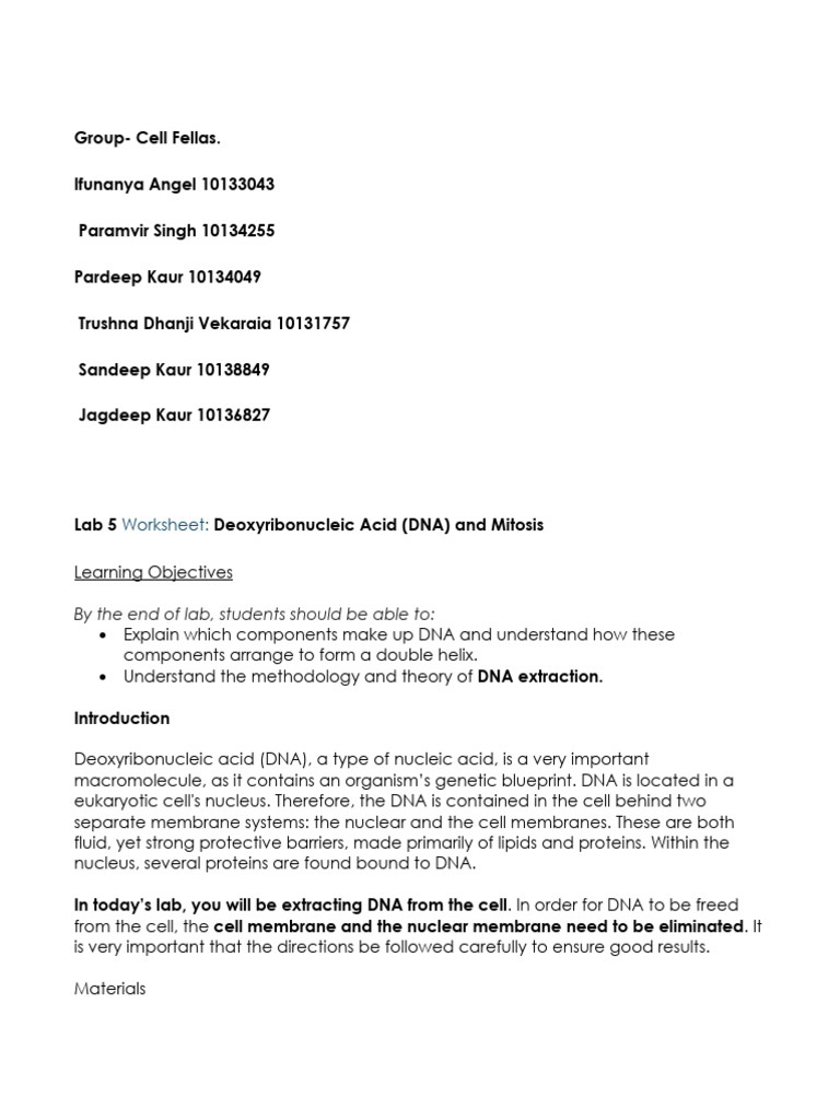 DNA Extraction Lab Worksheet | PDF | Dna | Gene