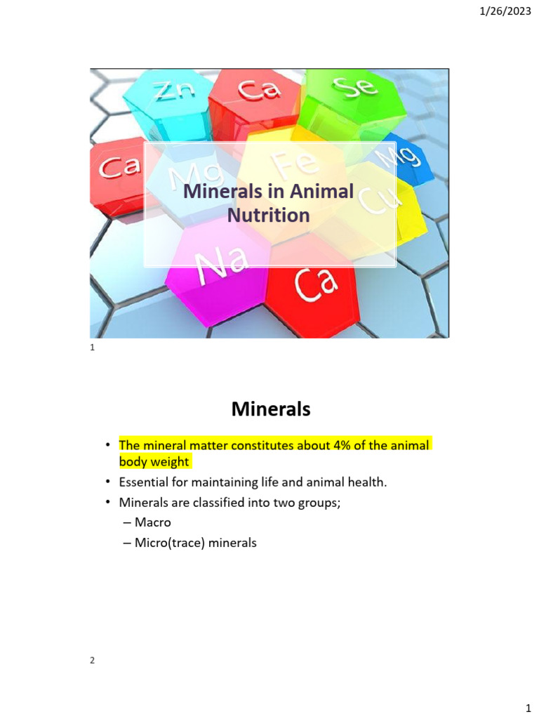 9 - Minerals in Animal Nutrition | PDF | Essential Nutrients | Chemical ...