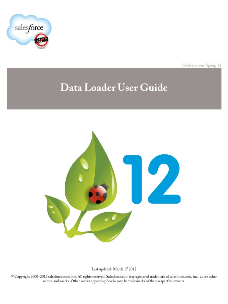 Data Loader User Guide Pdf Command Line Interface Salesforcecom 