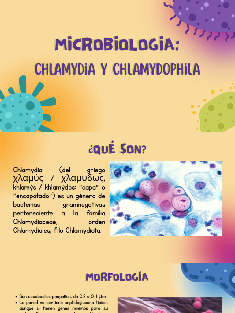 Chlamydia y Chlamydophila | PDF | Microbiología | Especialidades Medicas