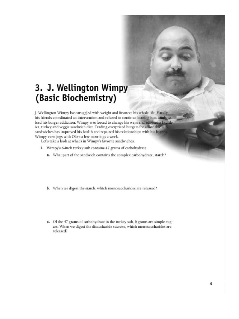 Case Study-J Wellington Wimpy | PDF
