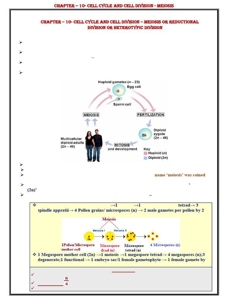 Chapter - 10 Cell Cycle and Cell Division - Meiosis - Sundar - Notes ...
