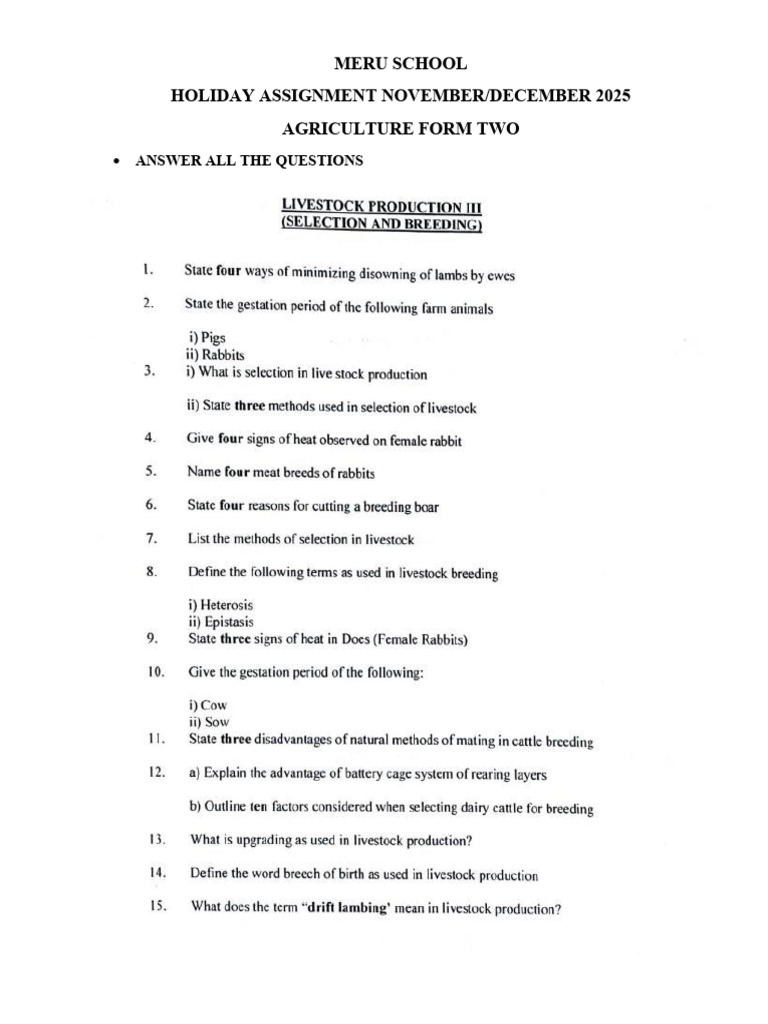 Meru School Holiday Assignments 2025 | PDF | Respiratory System | Oxide