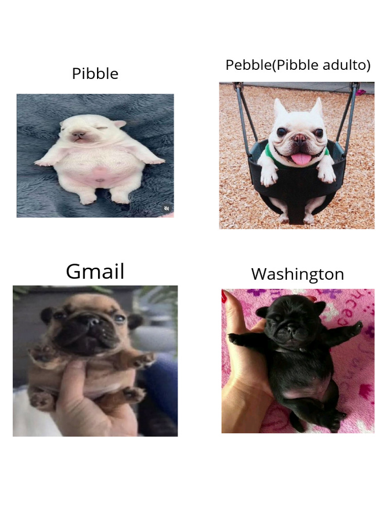 Pibble 20251201 075431 0000 | PDF