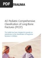 Chapman Points Table | PDF | Anatomical Terms Of Location | Neck