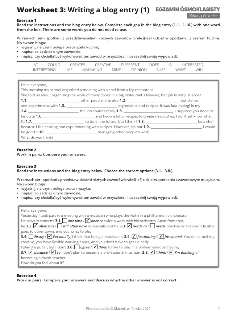 Blog Entry Writing Worksheet | PDF