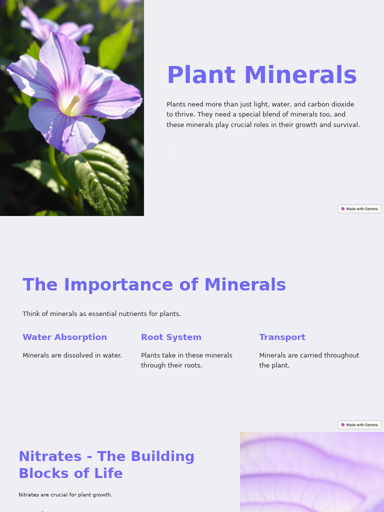 Plant Minerals | PDF | Plants | Soil