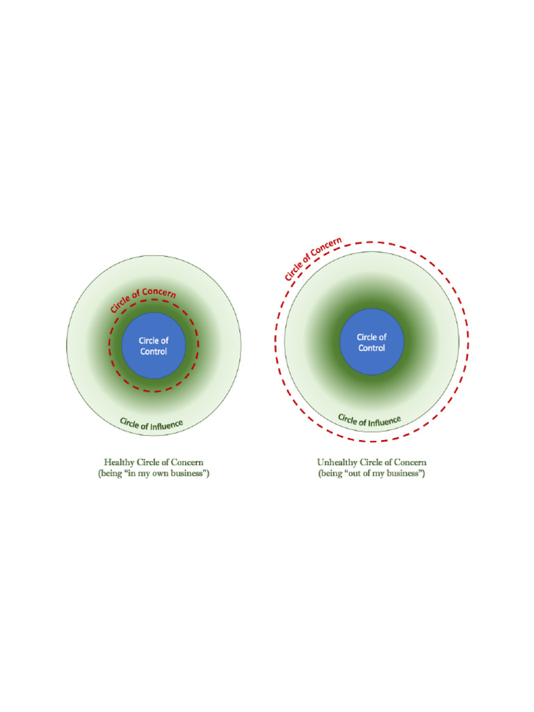 Circles of Concern/Control/Influence | PDF